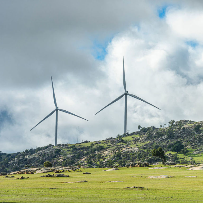 Renewables | Our Services | Epic Energy